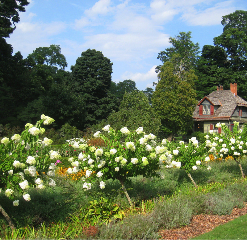 Landscaping & Gardening Services Harare - Spruce It Up